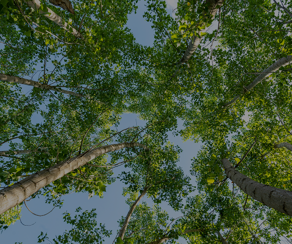 A Leader in Sustainable Waste Solutions | Reworld™